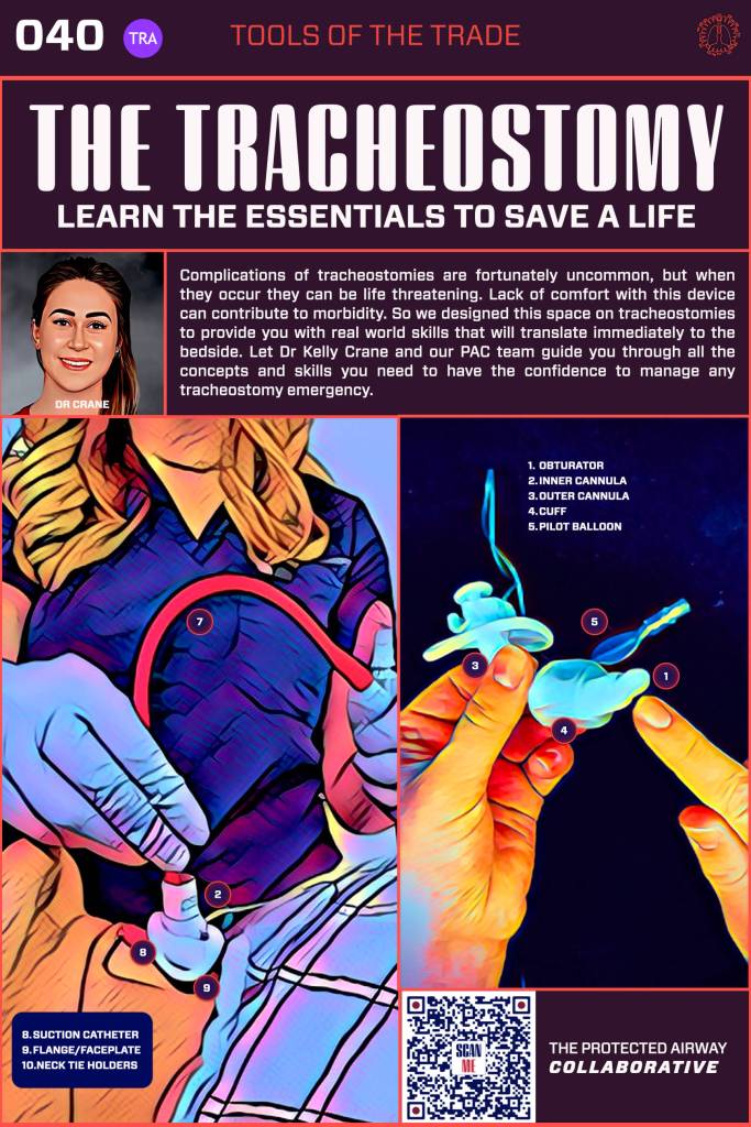 Inside the Physical Learning Space: Where Training Gets Real – The ...