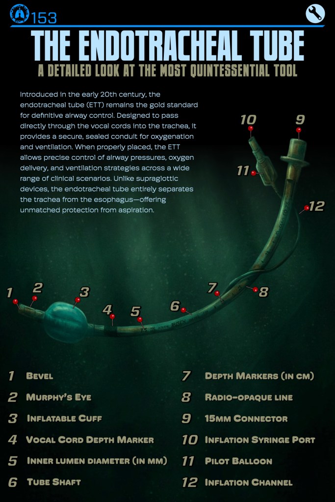 Understanding Endotracheal Tubes: Key Features Explained
